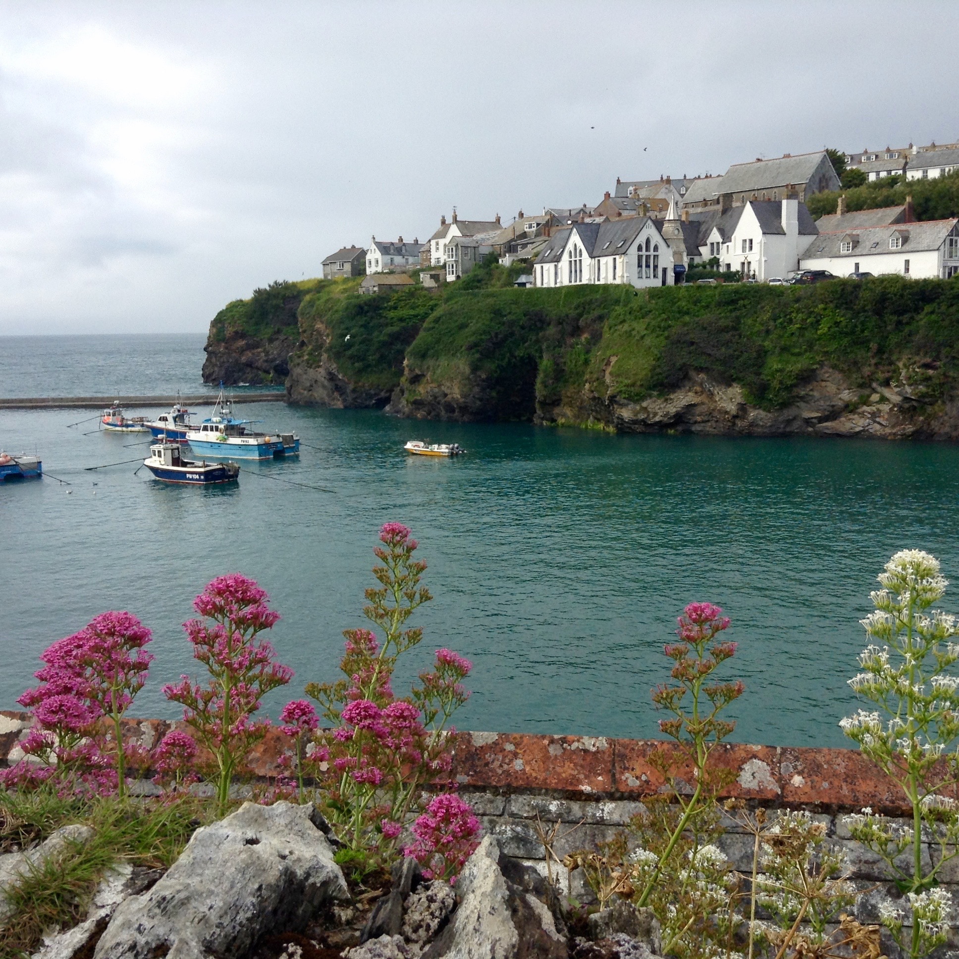 port-isaac-2 - Daceys Cornish Tours